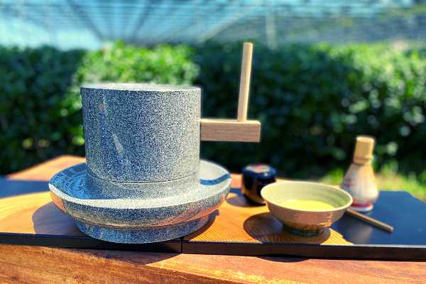 Tencha, the preliminary stage of matcha, is also being finished ...